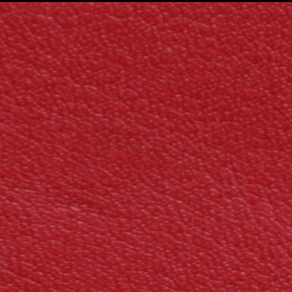 Extra long opera gloves (model 201) leather red – Fernando Berlin